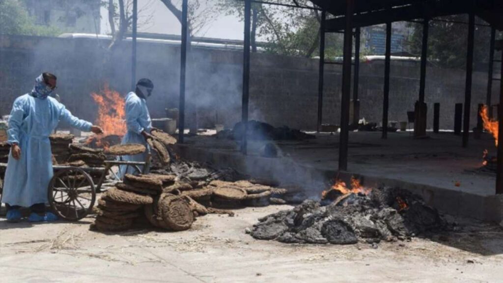 Everything to know about the cremation process - Elf Family Blog - Find ...